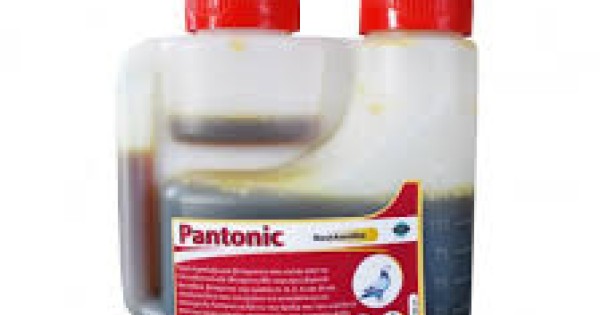 PANTONIC Βιταμίνη στη πρόληψη της ΝΟΣΕΜΑ 125ML